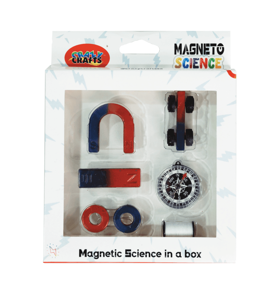 Crazy Magneto Science - Craft Kit - Crafty Arts