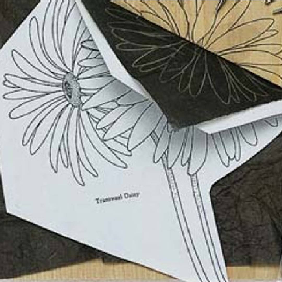 Graphite Transfer Papers - Trace and transfer with ease - Crafty Arts