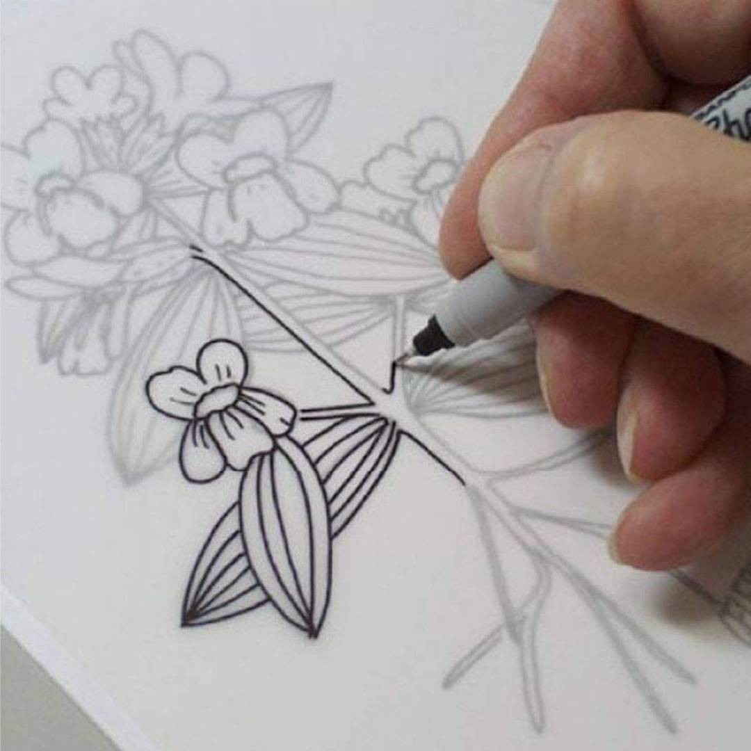 Tracing Pads - Copy and transfer! - Crafty Arts